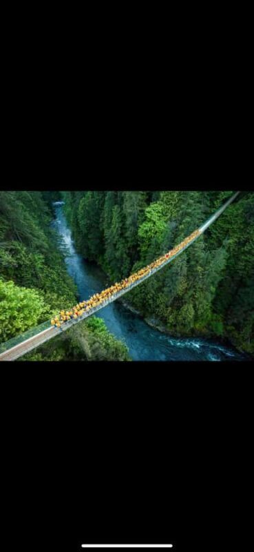 Private Tour of Capilano Suspension Bridge & Grouse Mountain - What Makes This Tour Stand Out