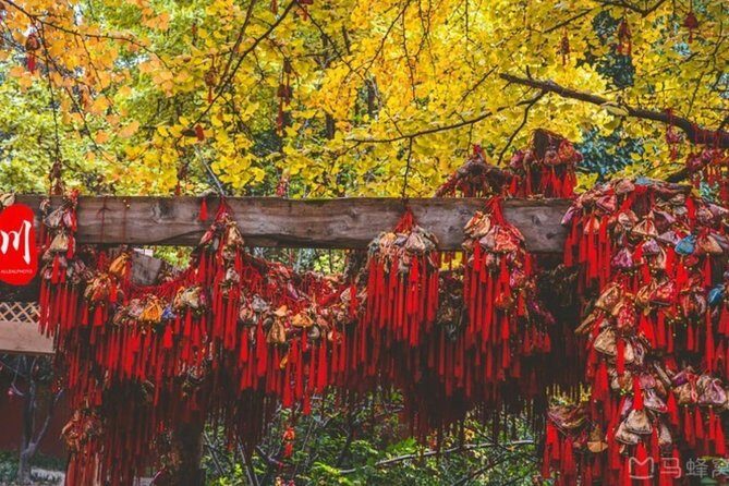 Private Tour of Chengdu's Top 3 Must-go Attractions w Photo Shoot - An In-Depth Look at the Tour