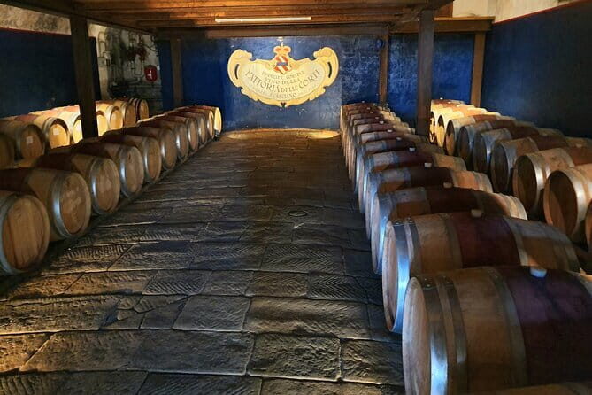 Private Tour of Chianti Siena and San Gimignano by Minivan - A Deep Dive into the Experience