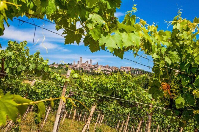 Private Tour Of Chianti with Wine Tastings - Authentic Traveler Insights and Experiences