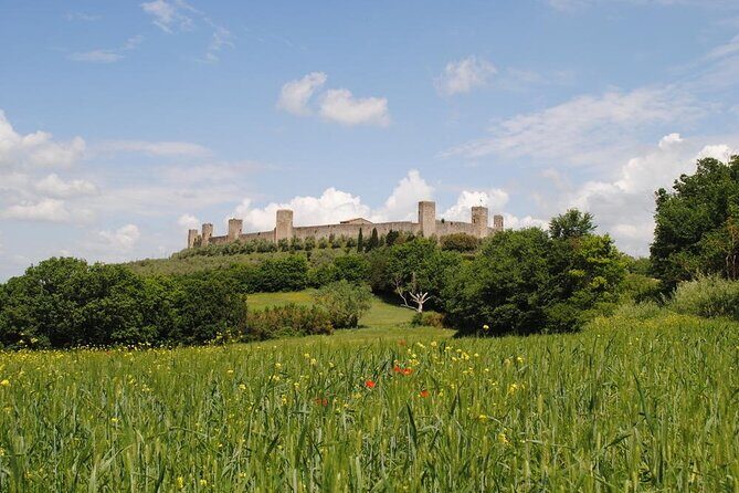 Private Tour Of Chianti with Wine Tastings - The Sum Up: Who Will Love This Tour?