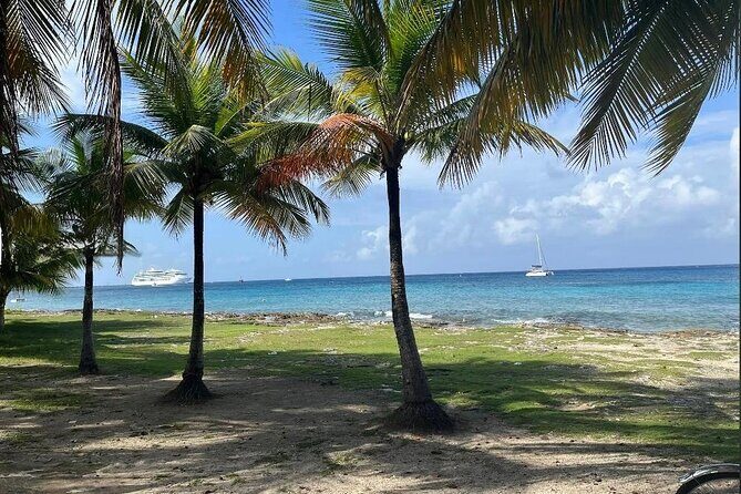 Private Tour of Cozumel in your own way Groups up to 4 People - Practical Details