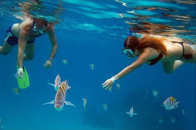 Private Tour of Cozumel in your own way Groups up to 6 People - The Sum Up