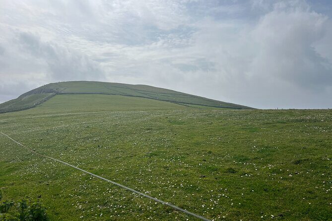 Private Tour of Dingle Peninsula from Killarney - Practical Considerations and Value