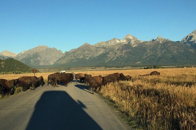 Private Tour of Grand Teton National Park - In The Sum Up: Who Is This Tour Best For?