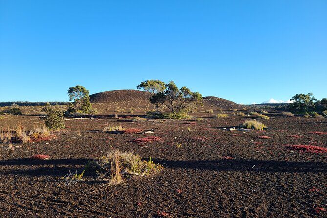 Private Tour of Hawaii Volcanoes National Park - The Authentic benefits of a Private Guide
