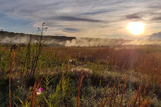 Private Tour of Hawaii Volcanoes National Park - The Sum Up