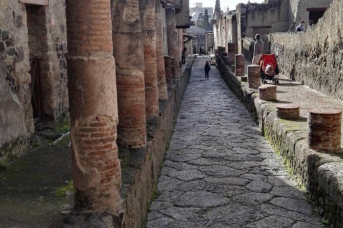 Private Tour Of Herculaneum & Mount Vesuvius - Who Should Consider This Tour?