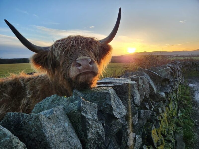 Private Tour of Highlands, Lochs & Castles from Stirling - Final Thoughts