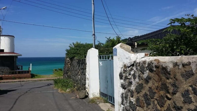 Private tour of Jeju Island, by car, at your own pace - The Cultural Richness: Seafood and Local Life