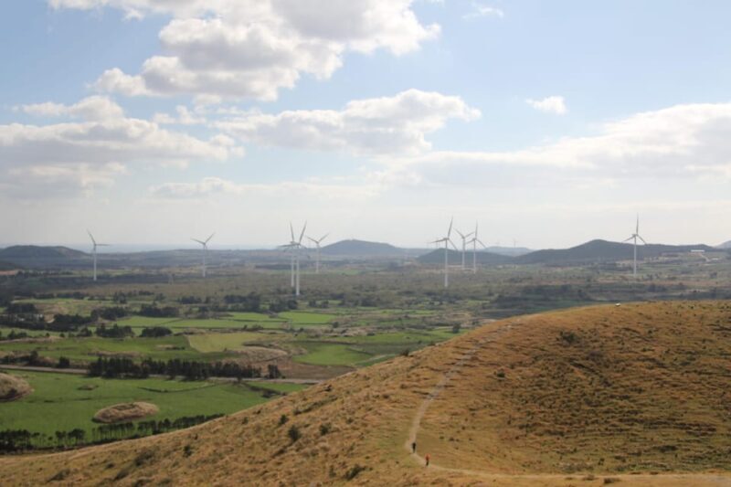 Private tour of Jeju Island, by car, at your own pace - Practical Considerations and Value