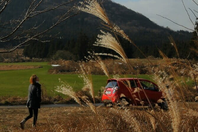 Private Tour of Jeju Island by Car - A Deep Dive into the Jeju Experience