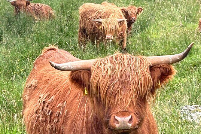 Private Tour of Loch Ness, Glencoe and Highlands from Edinburgh - Who Will Love This Tour?