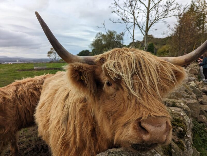 Private Tour of Loch Ness, Pitlochry, Glencoe and Highlands - The Itinerary Breakdown – In Detail