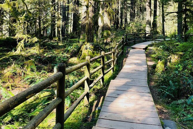 Private Tour of Lynn Canyon Suspension Bridge - Final Thoughts