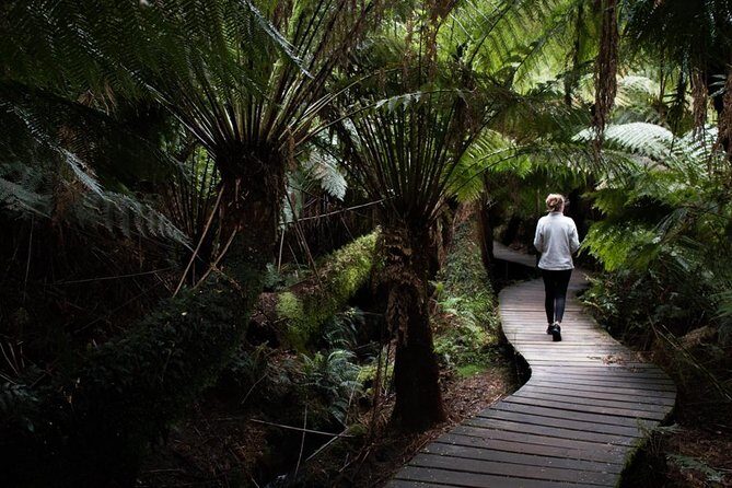 Private Tour of Melbourne - Final Thoughts