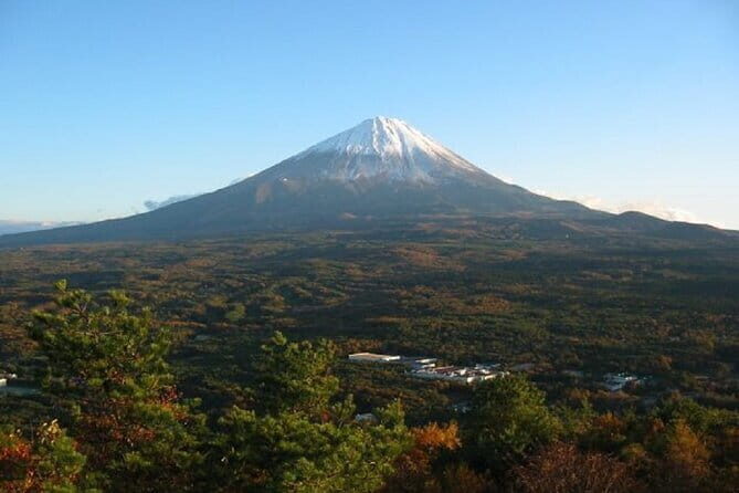 Private Tour of Mt. Fuji Culture and Nature Walk - The Value of the Tour