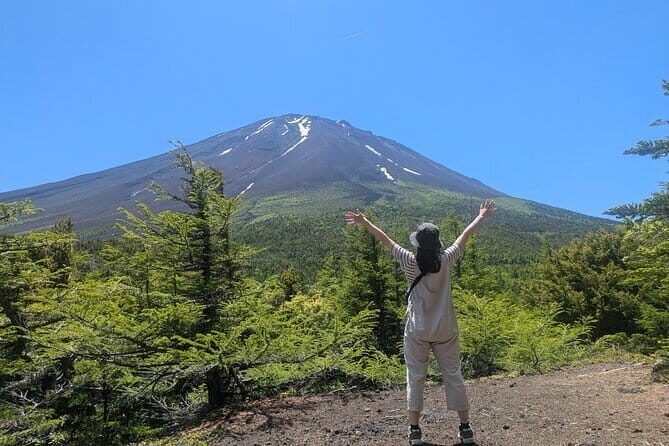 Private Tour of Mt. Fuji Culture and Nature Walk - Insights from Reviews