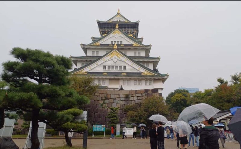 Private tour of Osaka with a Spanish-speaking Guide - Who Would Enjoy This Tour?
