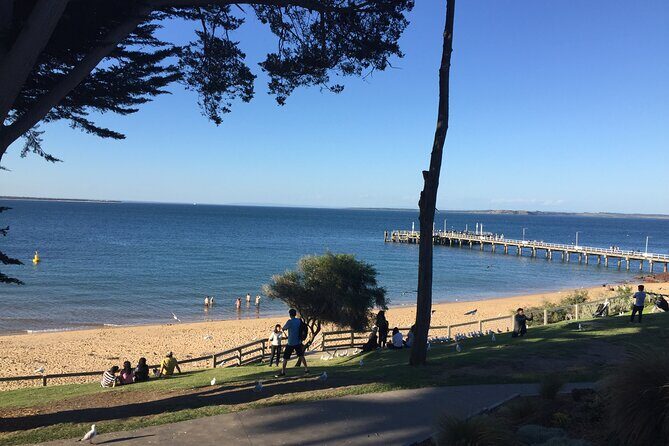 Private Tour of Phillip Island & Penguins with personal tour guide - Why This Tour Offers Real Value