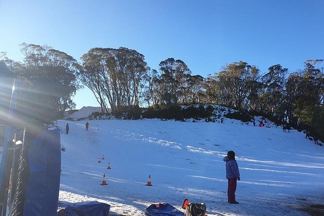 Private Tour of Phillip Island & Penguins with personal tour guide - Who Will Love This Tour?