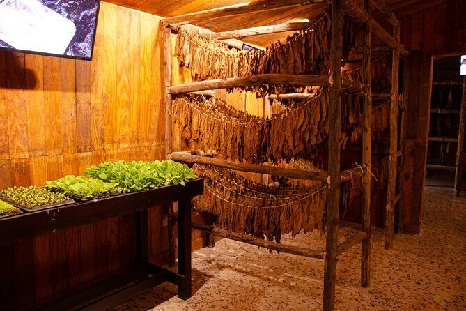 Private Tour of Puerto Plata by Classic Car - Final Thoughts