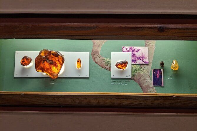 Private Tour of Puerto Plata by Classic Car - FAQs