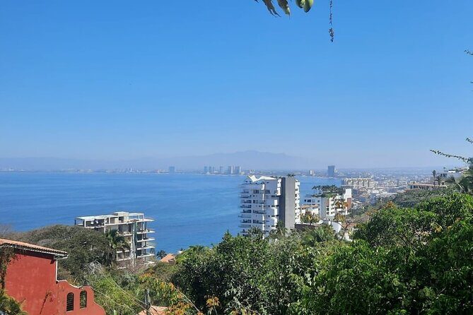 Private Tour of Puerto Vallarta and the Subtropical Forest - Key Points