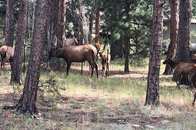 Private tour of Red Rocks, Echo Lake, Mount Evans and Idaho Springs. - Introduction: Why Consider This Tour?