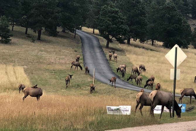 Private tour of Red Rocks, Echo Lake, Mount Evans and Idaho Springs. - Overall Value and Who Will Enjoy It