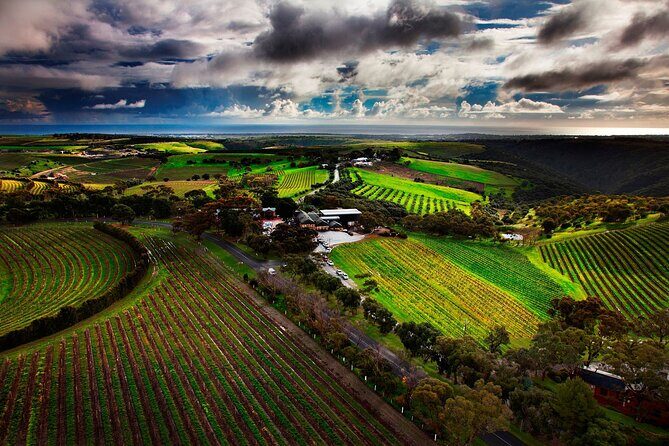 Private Tour of Rojina's Fleurieu in McLaren Vale - Key Points