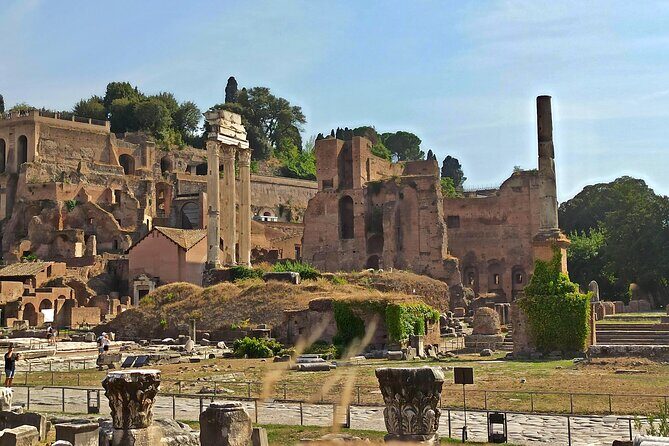 Private Tour of Roman Forum, Palatine Hill and Circus Maximus - An In-Depth Look at the Tour