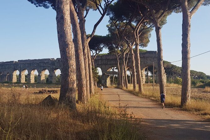 Private tour of Rome - Golf cart - Who would this tour suit best?