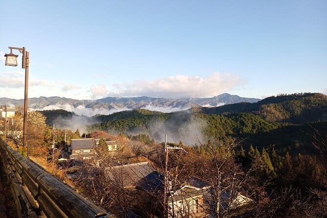 Private tour of rural Japan mountains, onsen and craft beer - Final Thoughts