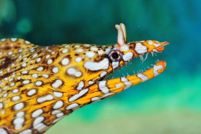 Private Tour of Shanghai World Financial Center, Jingan Temple and Fuxing Park - A Deep Dive into the Tour Experience