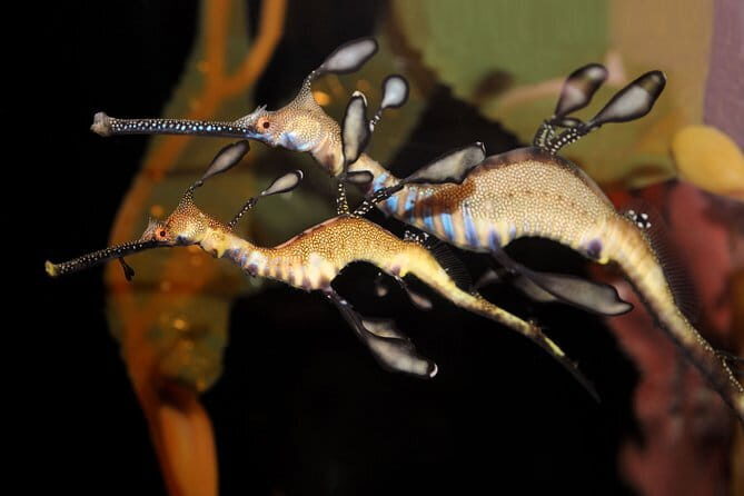 Private Tour of Shanghai World Financial Center, Jingan Temple and Fuxing Park - The Sum Up