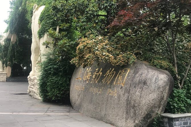 Private Tour of Shanghai Zoo and Cruise on Huangpu River with Dim sum Lunch - A Deep Dive into the Day