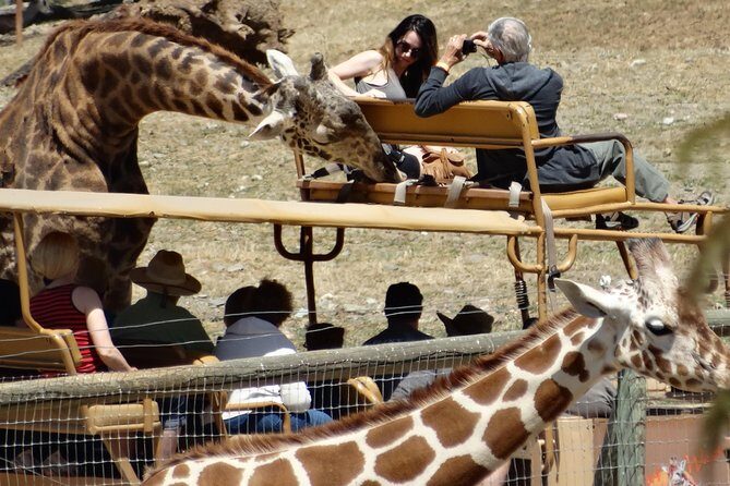 Private Tour of Sonoma Wild Safari Animal Park and Sonoma Redwoods - An In-Depth Look at the Sonoma Safari and Redwood Experience