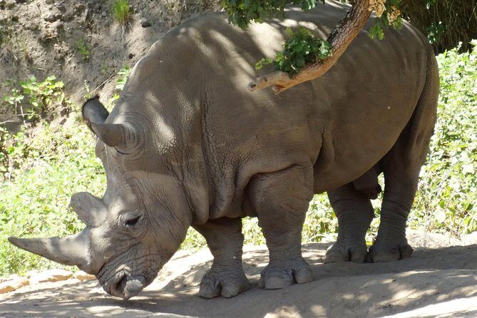 Private Tour of Sonoma Wild Safari Animal Park and Sonoma Redwoods - FAQ