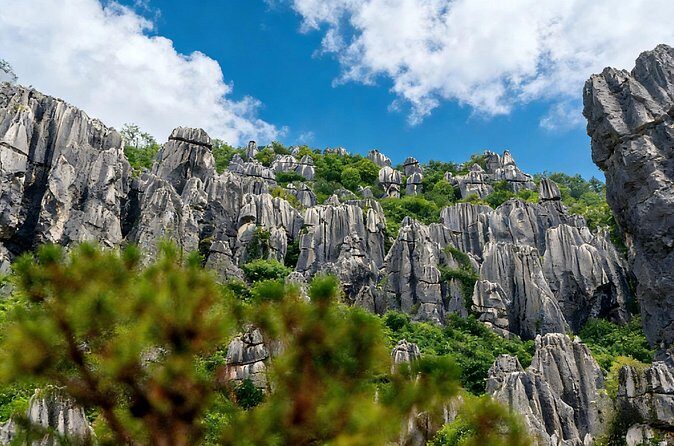 Private Tour of Stone Forest Geological Park in Kunming - Final Thoughts