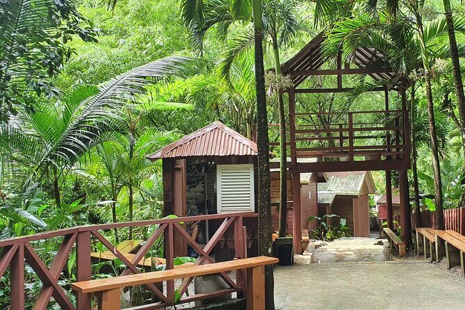 Private Tour of Sulphur Spring and Toraile Waterfall in Soufriere - Who Will Love This Tour?