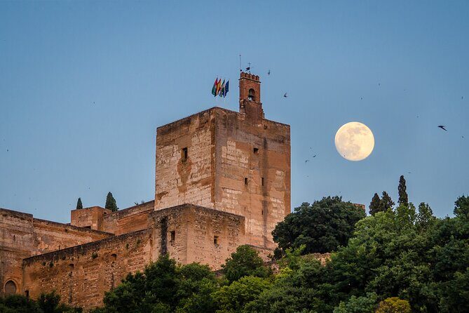 Private tour of the Alhambra entrances included - Key Points