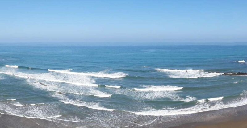 Private Tour of the Basque Coast and Countryside - Exploring the Basque Coast and Countryside: A Thoughtful Tour Review