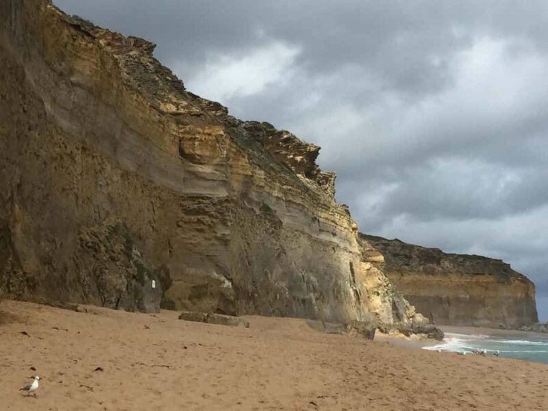 Private Tour of the Great Ocean Road & 12 Apostles - Who Should Consider This Tour?