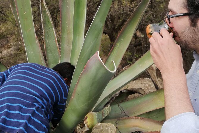 Private Tour of the Mezcal Route with Ancestral Drinks - The Authentic Experience You Can Expect
