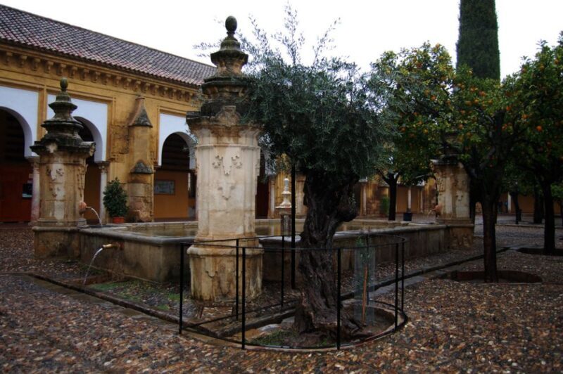 Private Tour of the Mosque-Cathedral and Jewish Quarter - Practical Details and What to Expect