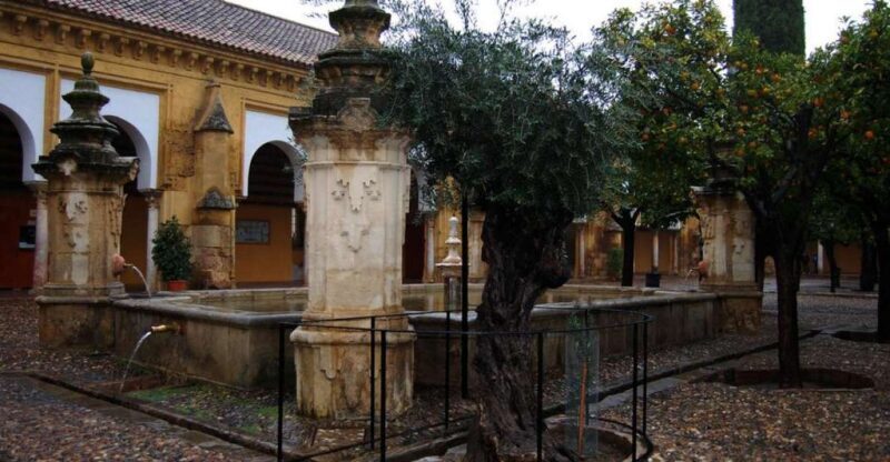 Private Tour of the Mosque-Cathedral and Jewish Quarter - Who Will Love This Tour?