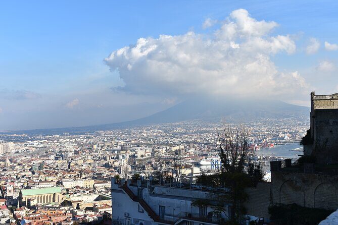 Private Tour of the Naples Royal Palace and Saint Martin Certosa - Who Will Love This Tour?