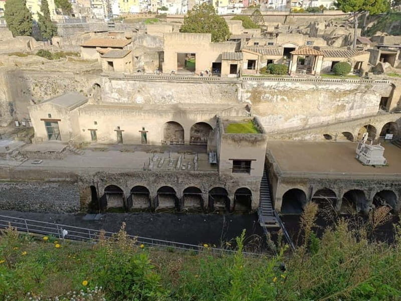 Private Tour of the Ruins of Herculaneum and Vesuvius: with Tickets Included - A Deep Dive into the Experience