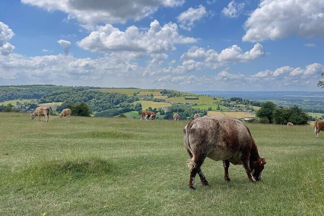Private tour of the stunning Cotswolds with an expert local guide - Who Will Love This Tour?